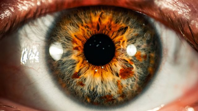 Imaging Circulation in the Eye Could Predict Brain Diseases ...