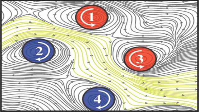 Spiral-Shaped Signals for Organizing Brain Activity Discovered ...