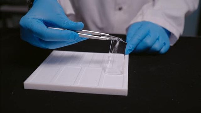 A “Spy” in the Belly: A Band-Aid With Sensor Function | Technology Networks