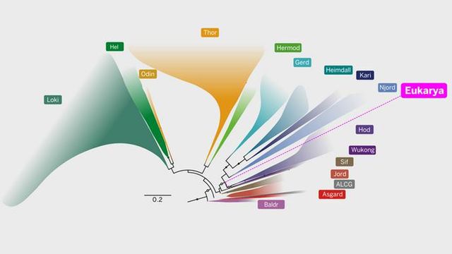 New Clues About the Origin of Complex Life Revealed | Technology Networks