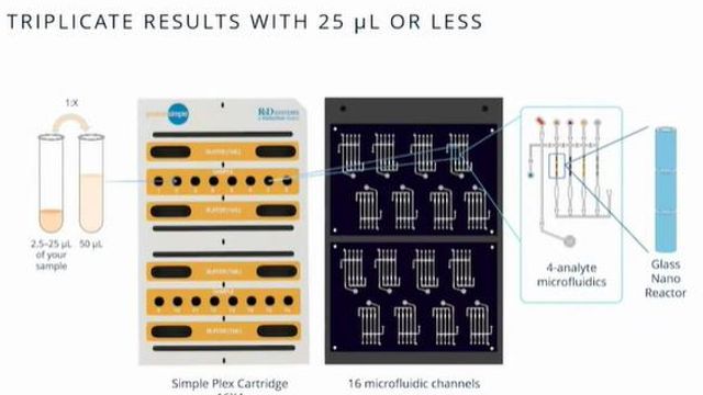 Ella: Next Generation Analysis for Your Cell Therapy Workflow ...