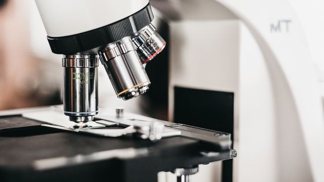 New Combination of Imaging Techniques Could Revolutionize Microscopy ...