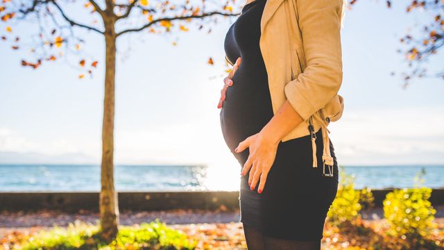 THC Exposure Alters Placental and Fetal Epigenome in Pregnant Primates ...