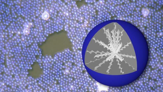 Beetle Shell-Inspired Liquid Crystals Create Anti-Counterfeiting QR ...