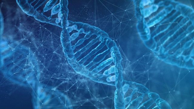 Dna “origami” Templates Used To Control Virus Assembly Technology Networks