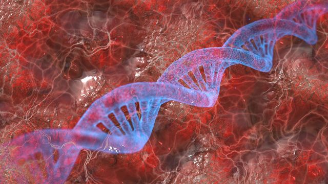 Study Reveals How Skin Cancer Virus Outcompetes Host Cell Replication ...