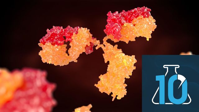 Comprehensive Charge Variant Identification on a Single Integrated ...