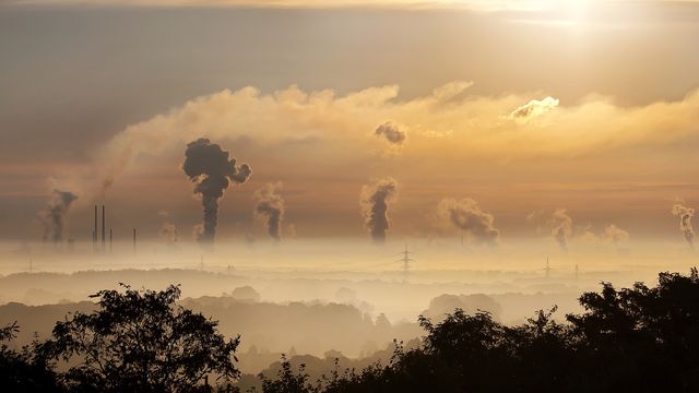Ammonia Emissions Should Be Targeted in Battle Against Air Pollution ...