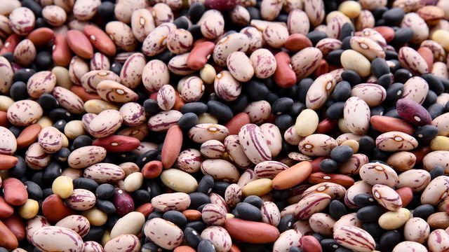 Unique Mexican Black and Pinto Bean Varieties Are High in Healthy ...