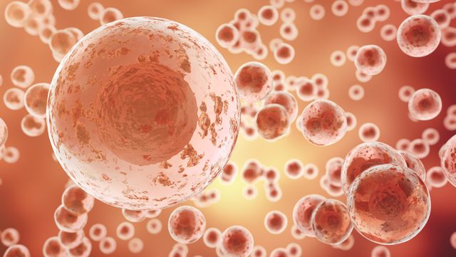 Scientists Discover Protein That Drives Cancer Cell Death Pathway ...