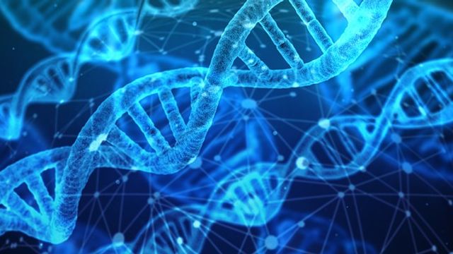 The “Unknome” Human Gene Database | Technology Networks