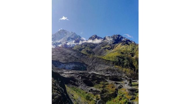 Scientists Climb Tallest Peaks in the World To Sequence the Oldest Moss ...