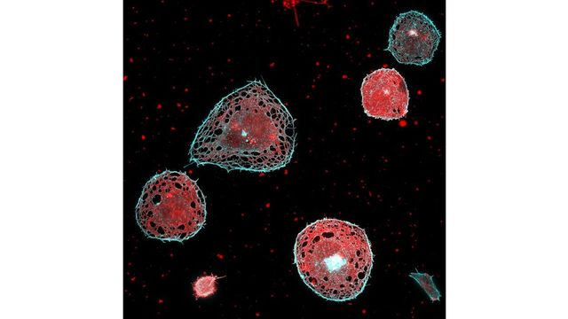 Fast Super-Resolution Imaging Achieved Over a Wide Field of View ...