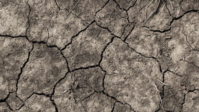 The Risk of Fatal Heatwaves Are Becoming More Frequent | Technology ...