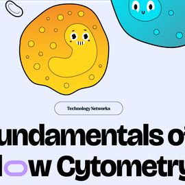 Flow Cytometry Animation