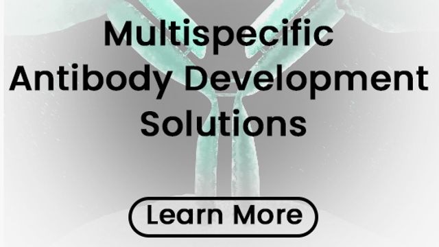 Multispecific Antibody Development Solutions | Technology Networks