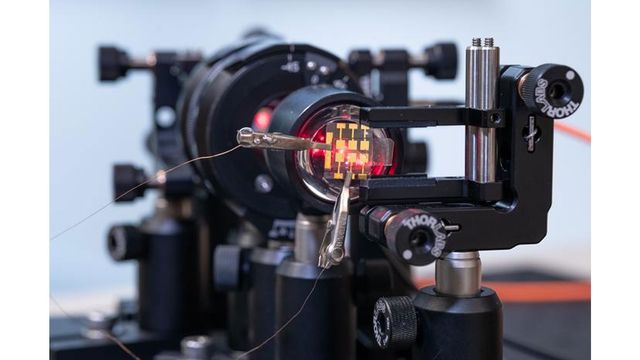 Better Cybersecurity With New Material | Technology Networks