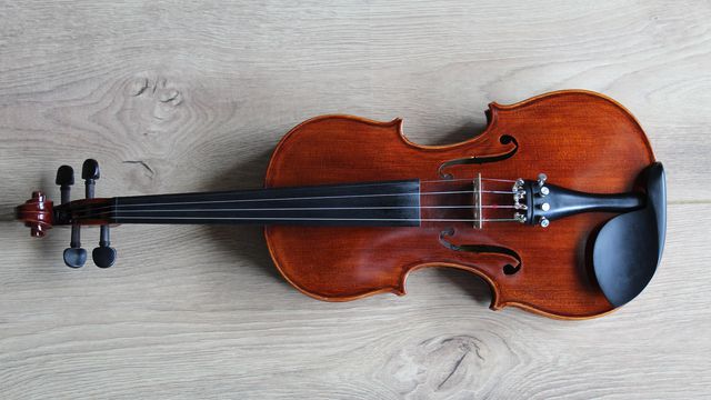 Viola Music Slows the Brain Waves of Epilepsy Patients | Technology ...