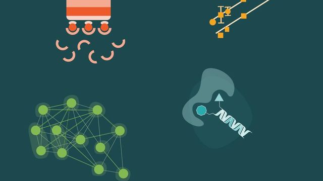 Accelerating Antibody Discovery With Advanced Label-Free Technology ...
