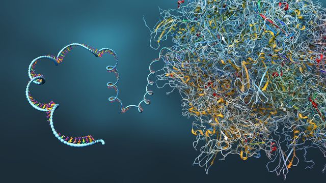 Synthetic Biology Tool Comprehensively Reveals Gene Regulatory Networks