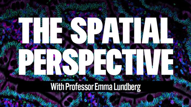 The Spatial Perspective With Professor Emma Lundberg | Technology Networks