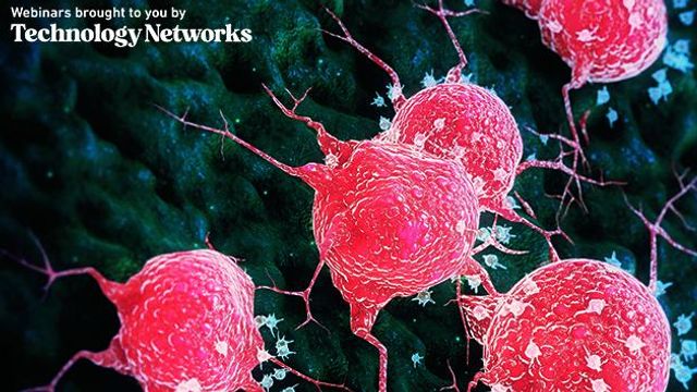 Cell-to-Cell Communication in Cancer | Technology Networks