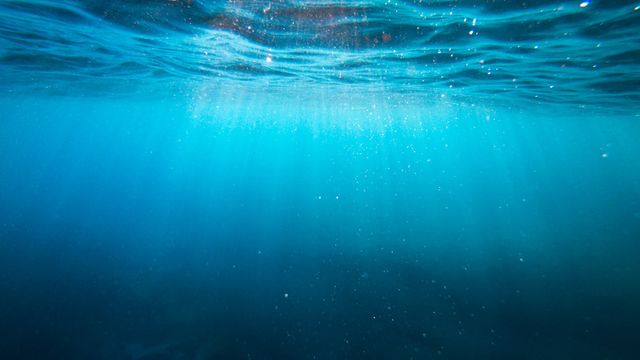 New Material Stays Dry for Months Underwater | Technology Networks