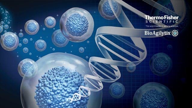 Securing Cell Therapy Success: The Role of PCR in Quality Control ...