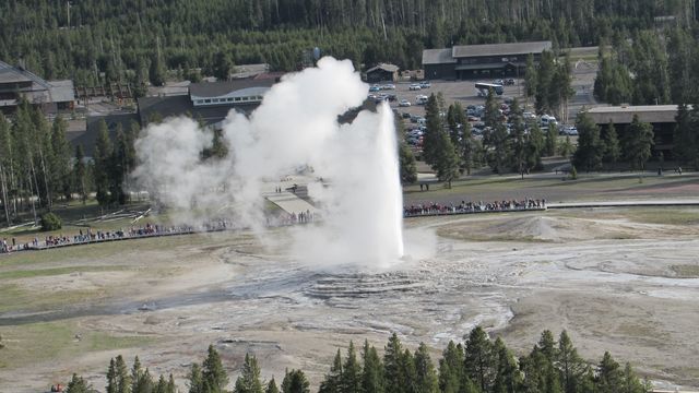 Old Faithful Geyser Is Home to a Diversity of Bacteria | Technology Networks