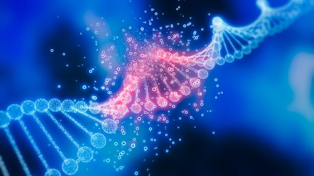 Neanderthals Inherited at Least 6% of Their Genome From ‘Cousins’ of ...