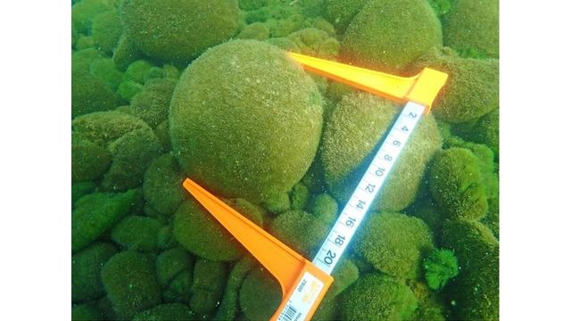 Applied Sciences News | Page 27 | Technology Networks