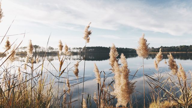 Why Don’t All Freshwater Lakes Warm Up As the Atmosphere Does ...