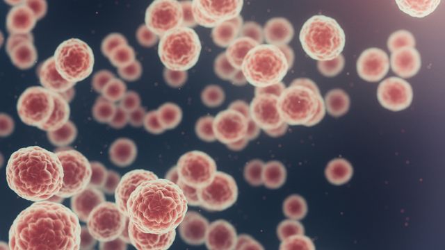 New Mechanism Uncovered in the First Oncogene, Over 40 Years Later ...
