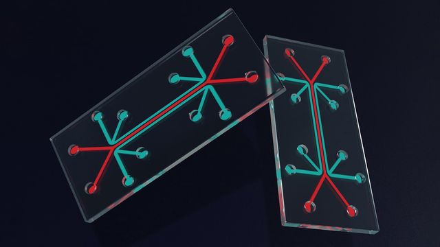 Advances in Organ-on-a-Chip Technology | Technology Networks