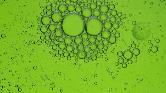 Green Algae Cell Research On Growth Characteristics Of