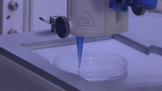 3D-Printing Hair Follicles in Lab-Grown Skin | Technology Networks