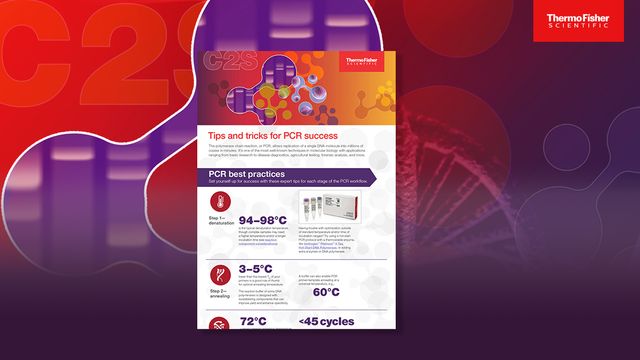 Tips and Tricks for PCR Success Infographic | Technology Networks