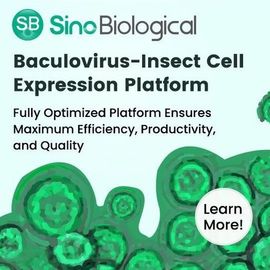 Custom Baculovirus–Insect Cell Protein Expression Service | Technology Networks