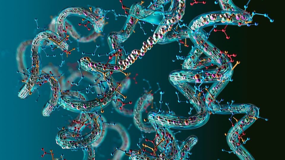 TIMS: A New Dimension in Protein Analysis | Technology Networks TIMS: A New Dimension in Protein Analysis | Technology Networks