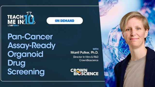 Pan-cancer Assay-ready Organoid Drug Screening With Robust ...