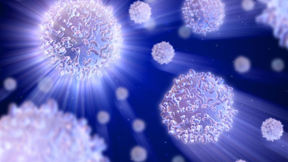 Why Do Our Immune Cells Need An Influx Of Water And Salts To Move Technology Networks