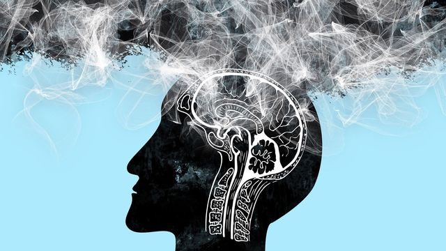 Smoking Shrinks the Brain | Technology Networks