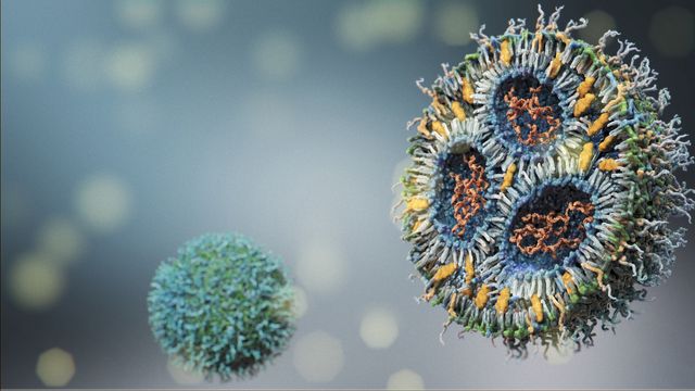 Better mRNA-LNPs: Encapsulation Efficiency, mRNA Integrity and Purity ...
