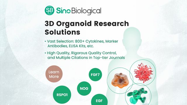 3D Organoid Research Solutions | Lab Equipment | Technology Networks