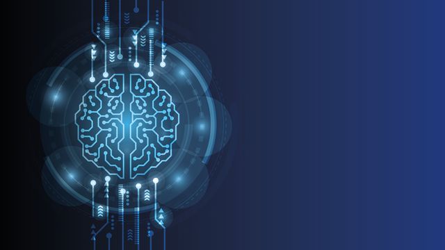 AI Systems and Human Brains Learn Differently. Here's How | Technology ...