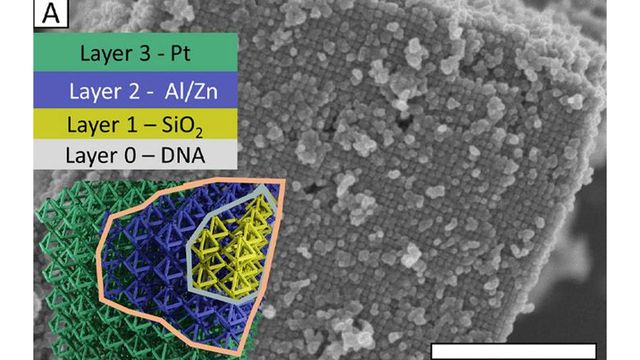 Hacking DNA To Make Next-Gen Materials | Technology Networks
