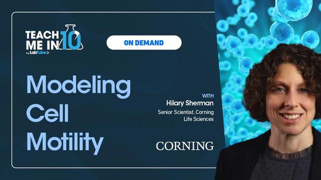 Modeling Cell Motility | Technology Networks