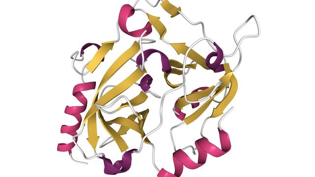 Technology Networks - The Online Scientific Community