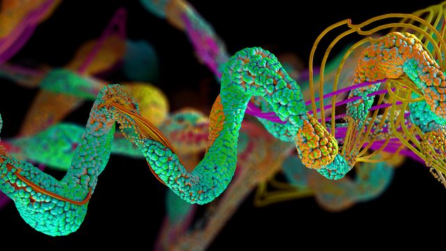 Computer-Aided Protein Design Yields Customizable Hydrogels ...