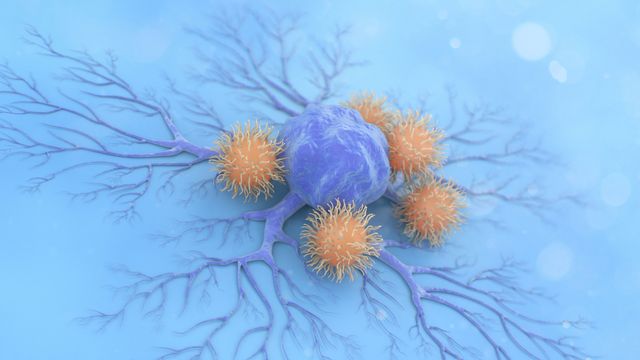 Restoring T Cell Function In Exhausted T Cells Poster Technology Networks